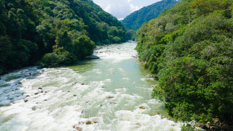 Río Samaná Norte: ¿Sabías que este es el último río libre? - Awake