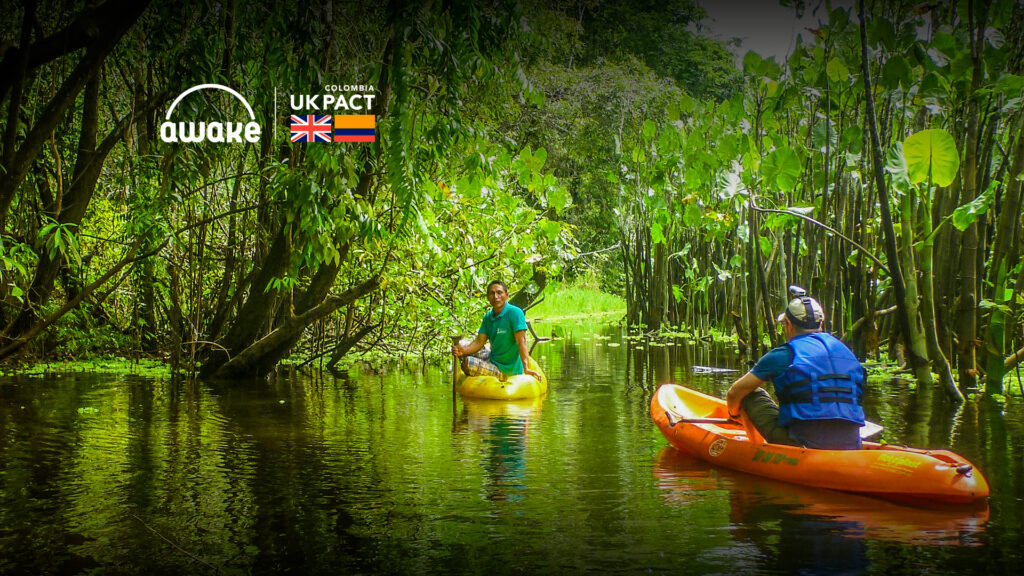 Amazonas: el plan perfecto para los amantes de la naturaleza | Awake