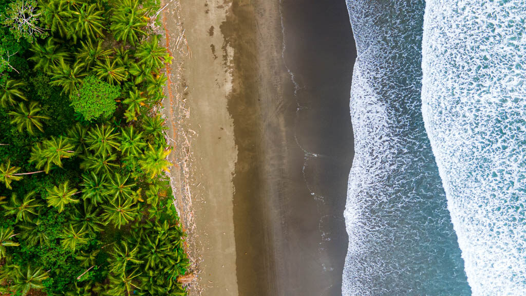 Cómo llegar a Bahía Solano: conoce la biodiversidad del Pacífico | Awake