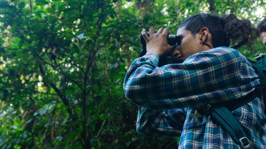 Avistamiento de aves en Colombia: ¿qué necesitas saber? | Awake