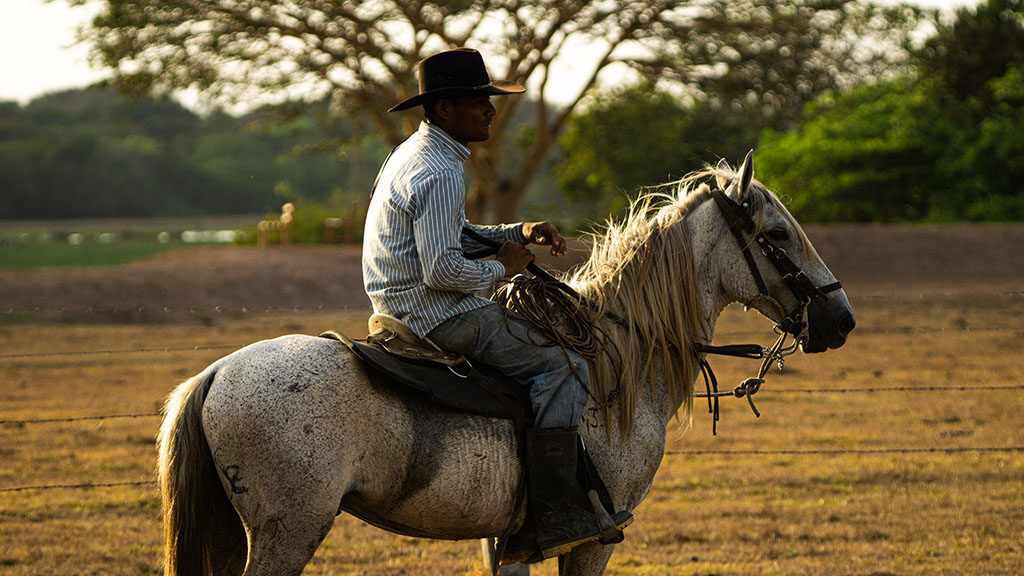 Casanare: ¿qué planes de naturaleza puedes hacer en 4 días? | Awake