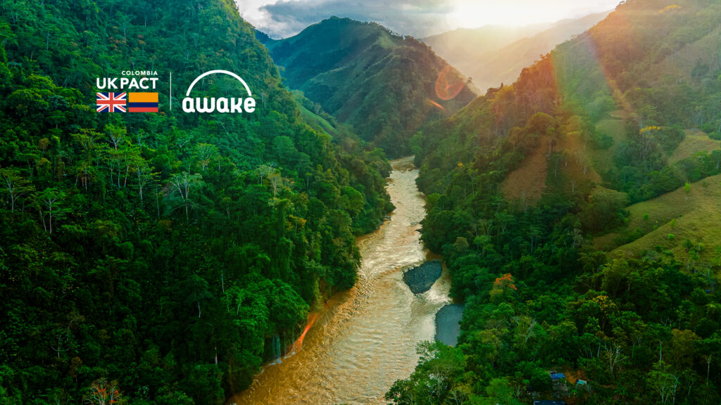 Ríos de Colombia: ¿qué hacemos nosotros para protegerlos? | Awake