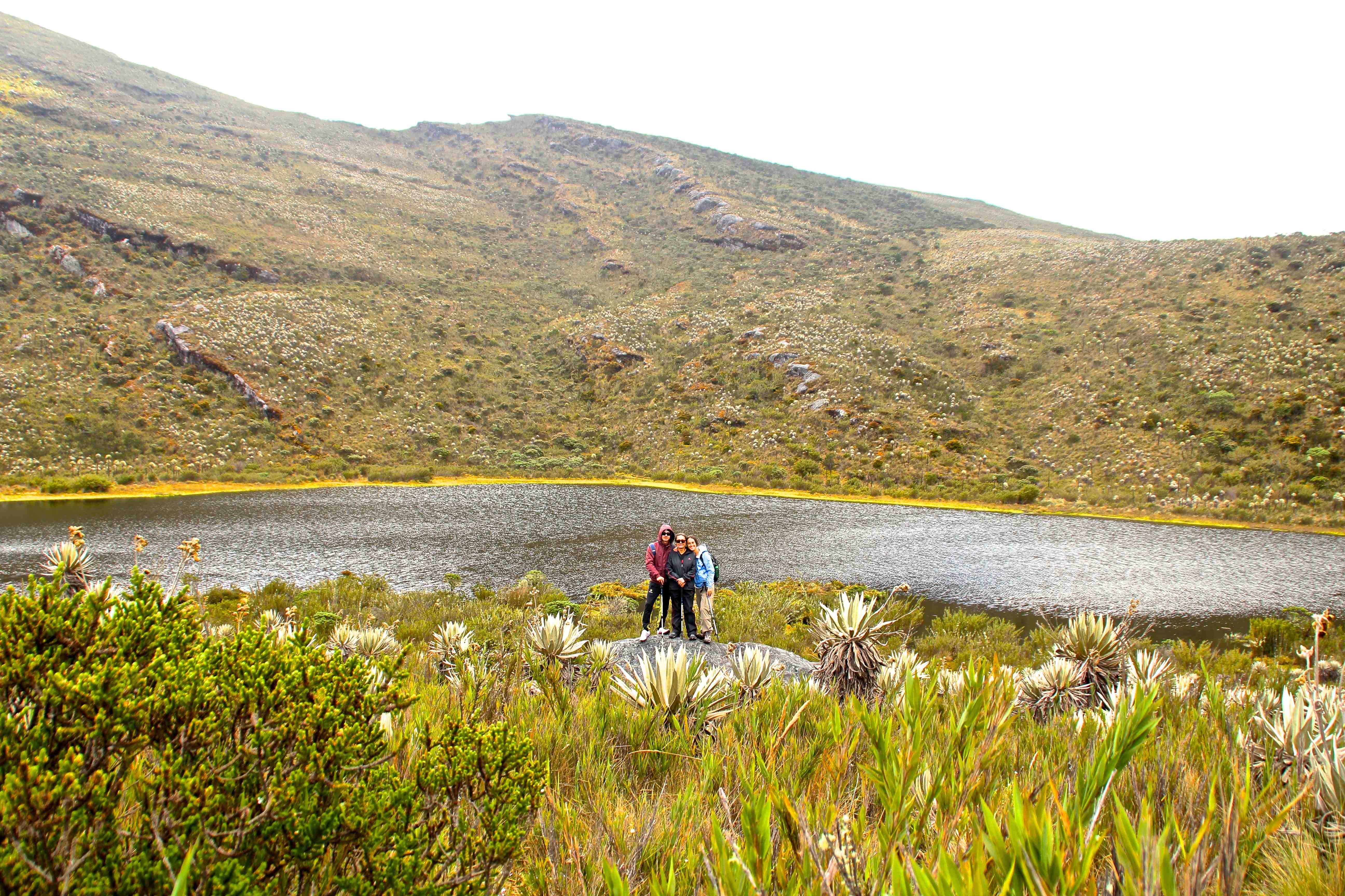 GRUPO ALIANZA COLOMBIA SAS | GRUPO ALIANZA COLOMBIA SAS