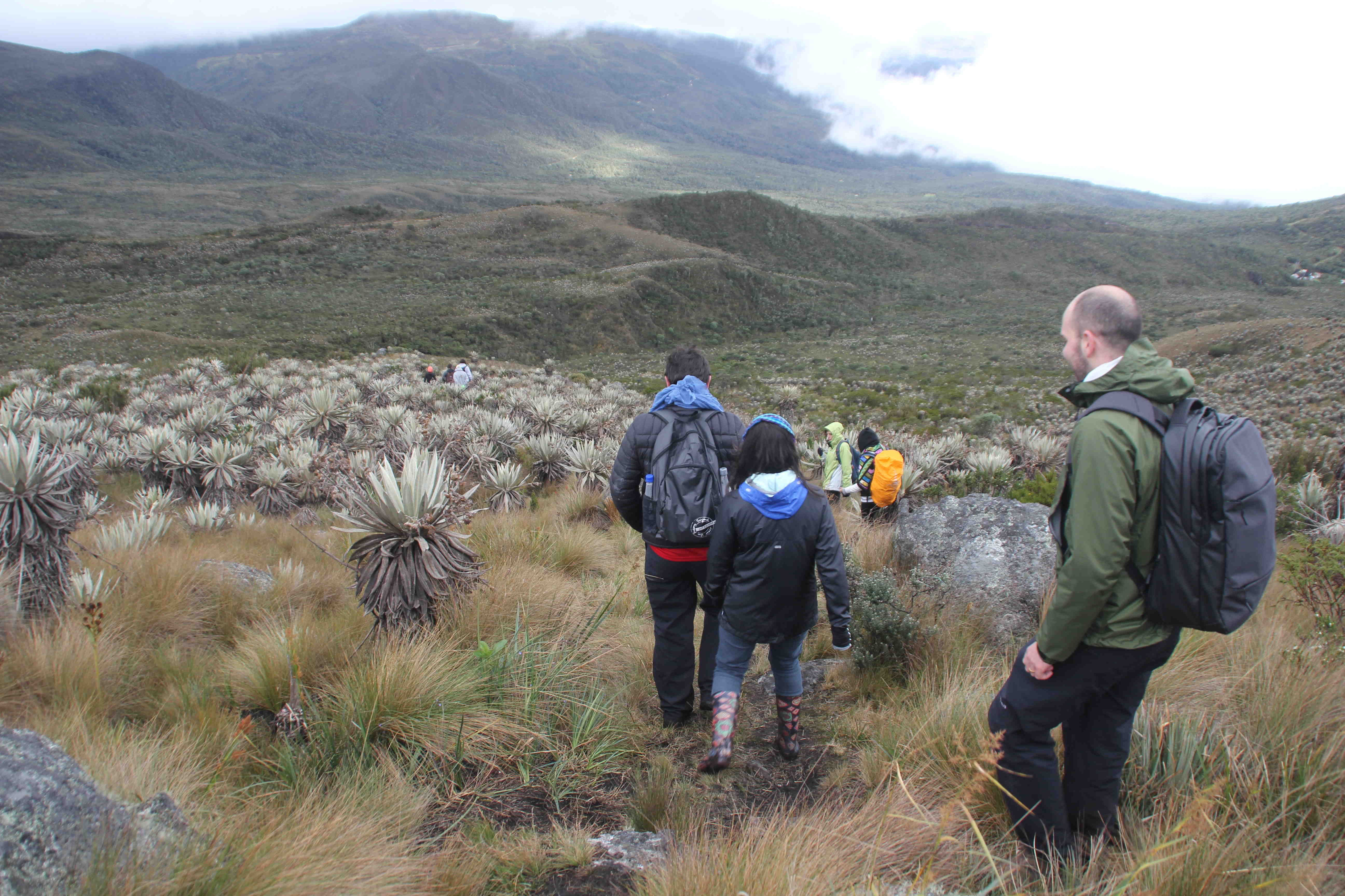 DCG Travel | DCG Travel