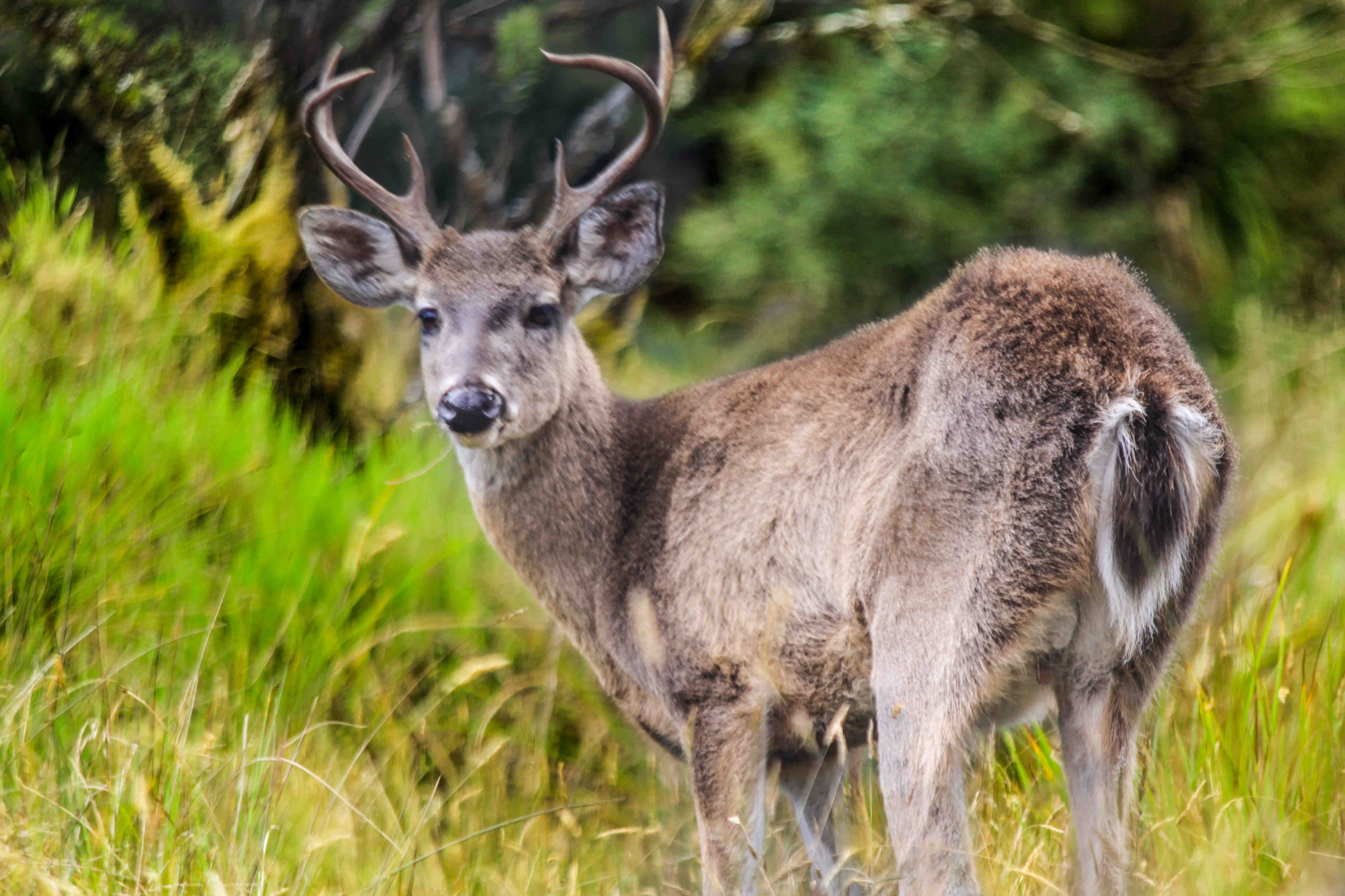 BOURBON TRAVEL | BOURBON TRAVEL