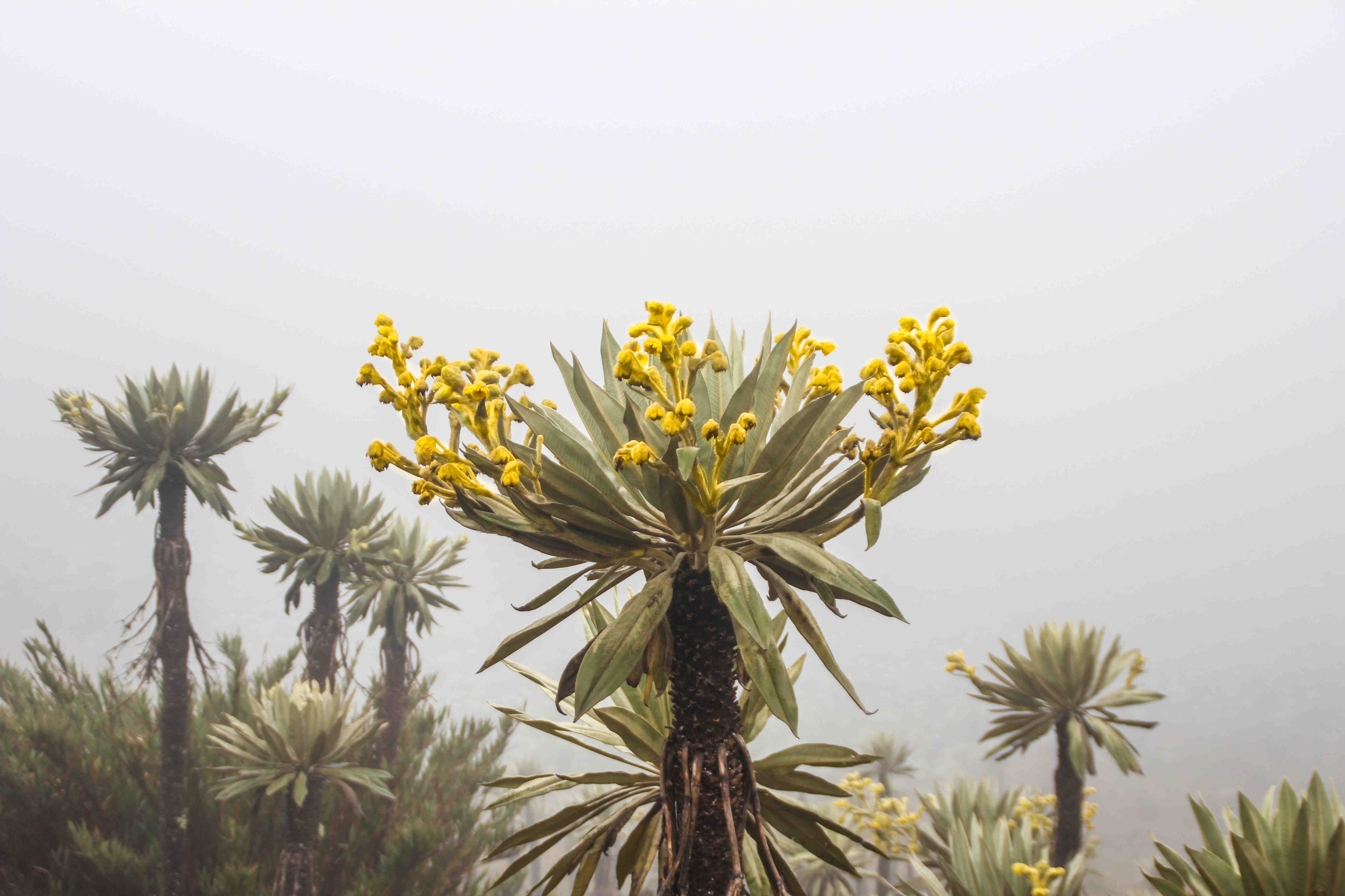 BOURBON TRAVEL | BOURBON TRAVEL